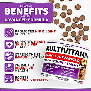 2-Pack Dog Multivitamin Chewable with Glucosamine - Dog Vitamins and Supplements - Senior & Puppy Multivitamin for Dogs - Hip & Joint Support - Immune Health, Skin, Heart, Digestion, Probiotics