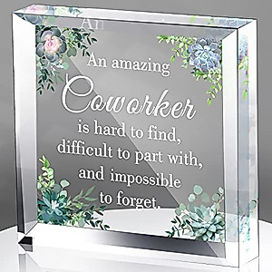 Yulejo Going Away Gifts for Coworkers Women Retirement Plaque Goodbye Best Boss Colleague Acrylic Coworker Leaving Keepsake Paperweight Men Healthcare Worker(Greenery)