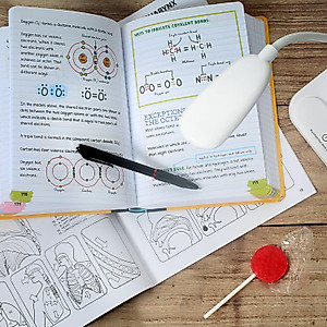 Classic Lollipops - 3 Pounds - Easter Lollipops - Individually Wrapped - Flat Round Bulk Suckers For Kids, Doctors Office, Schools, Banks