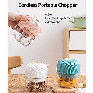 DmofwHi Electric Garlic Chopper,Cordless Mini Chopper With USB Rechargeable,304 Stainless Steel Blade,250ml Portable Electric Mini Food Chopper for Garlic,Ginger,Onion,Meat-Blue