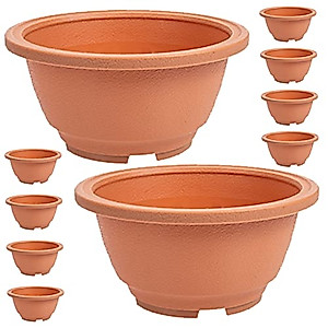 Asakkura 24 pcs Container Home Flower Training Planters Succulent Growing Gardening Bonsai Plants Garden for Nursery Round Planting Drainage Office Hole Cm Pot Cactus Plant Deep Plastic
