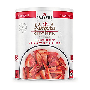 ReadyWise Simple Kitchen Fruit Bowl Mix - Freeze-Dried Berries, Apples and Banana Chips - Long-Term Emergency Food