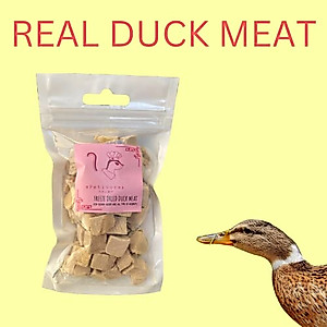 PETIVORE Premium Freeze Dried Duck Meat - High Protein - for Sugar Glider, Hamster, Chinchillas, Marmoset, and Other Small Exotic Pet Treats (15g.)