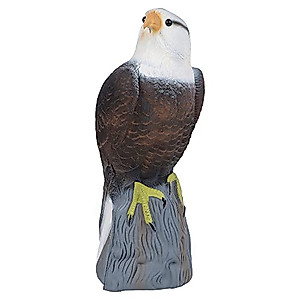 Hausse Bird Scarecrow Fake Horned Hawk Decoy, Bald Eagle Bird Repellent Garden Protectors, Falcon Scare Birds Away Deterrent Scarecrow for Garden Yard Outdoor