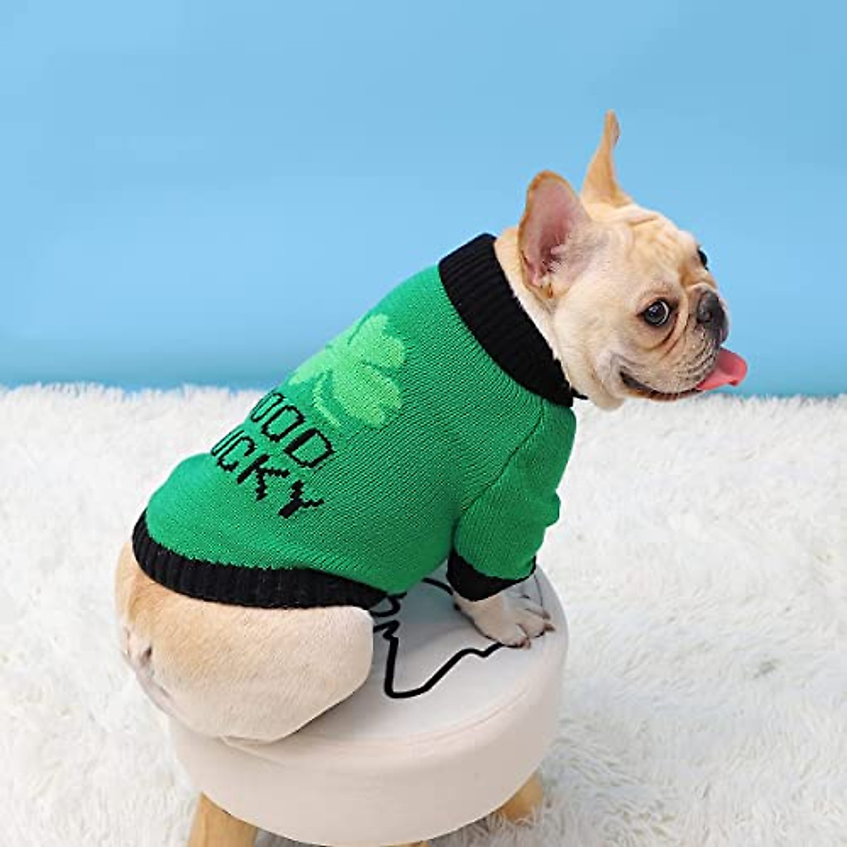 Sweaters Dog Winter Warm Clothes - Hoodies Jackets Sherpa Dog Apparel & Accessories Puppy Small Medium Large pet Clothes Holiday Party cat Dog St. Patrick's Day Black Green 12LBS