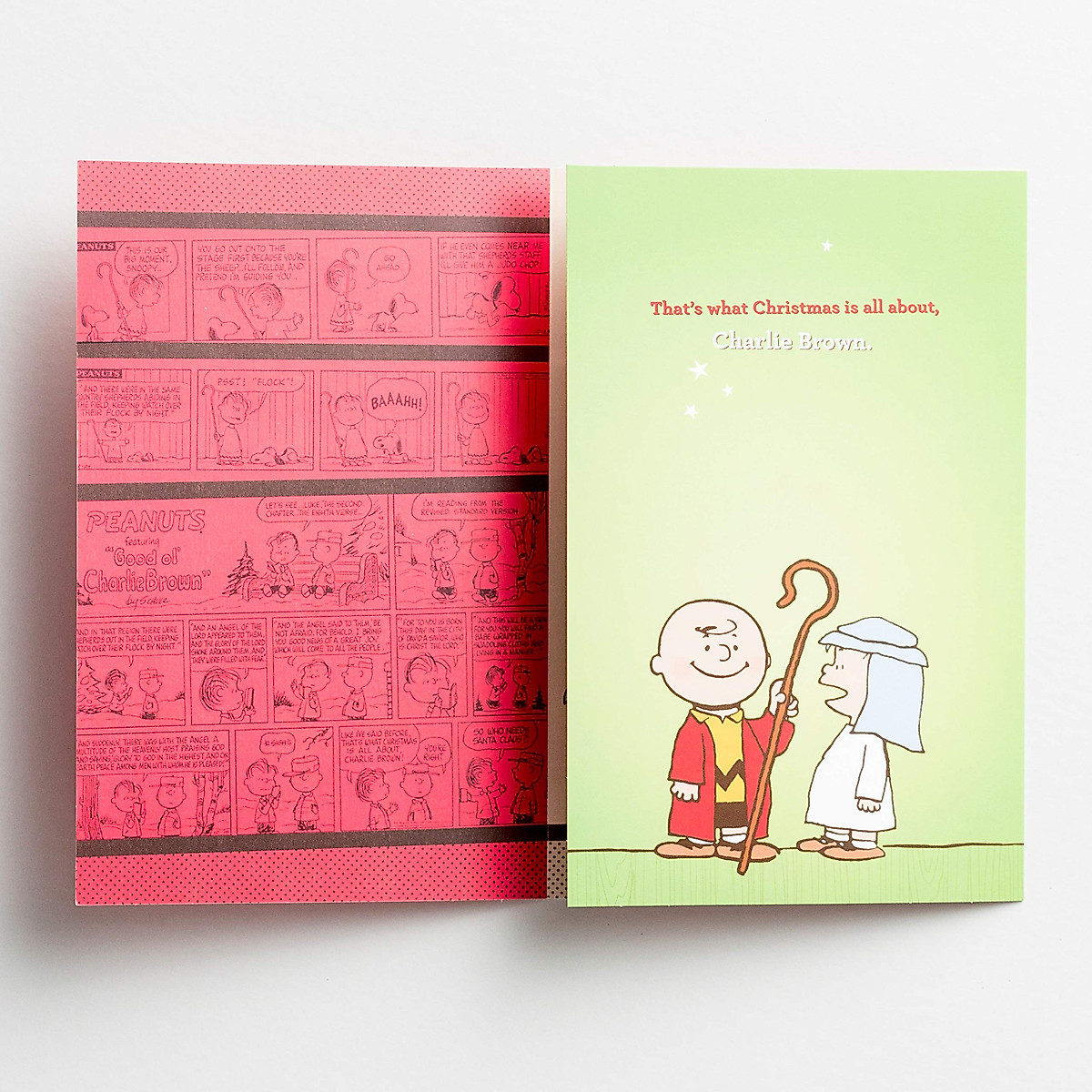 DaySpring - Peanuts That's What Christmas is All About Charlie Brown - 18 Premium Christmas Boxed Cards, KJV