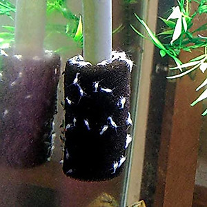 Qzbhct 6 Pack Pre-Filter Sponge Foam Roll Accessories for Aquarium Fish Tank