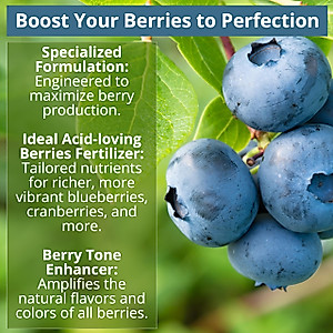 GARDENWISE 8-4-8 Acidic Fertilizer for Azaleas, Camellias (Camelia), Hydrangeas, Blueberries, Gardenias, Magnolia Trees, Evergreens, and Rhododendrons - Ideal Iron-Rich Plant Food (12 OZ)