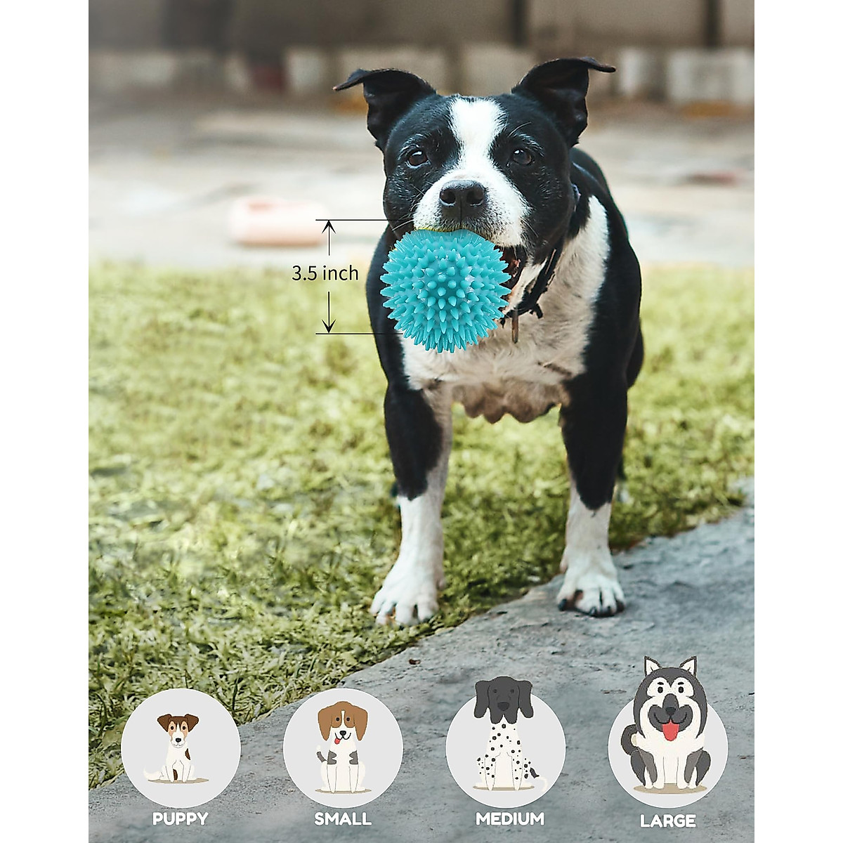 Pweituoet 3.5” Spike Dog Balls with Squeaky, Thicker and Durable, 2 Pack Dog Chew Toys Clean Teeth Training for Puppy Small Medium Large Dogs, Dog Ball Toys for Aggressive Chewers