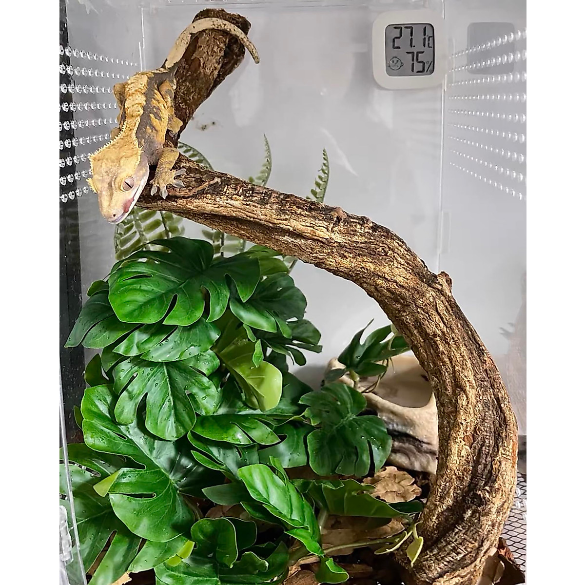 Woyrise Reptile Artificial Plants for Terrarium, Amphibian Habitat Decor Plant, Bearded Dragon Tank Decorations fit Gecko Lizard Chameleon Ball Python Snake Frog - Monstera Bush
