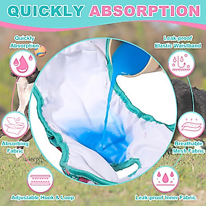 XPCARE Washable Female Dog Diapers, 2 Packs Reusable Doggie Diapers Absorbent Dog Diapers Female Leak-Proof Puppy Diapers Female Dogs for Heat Incontinence and Puppy Training (Large)