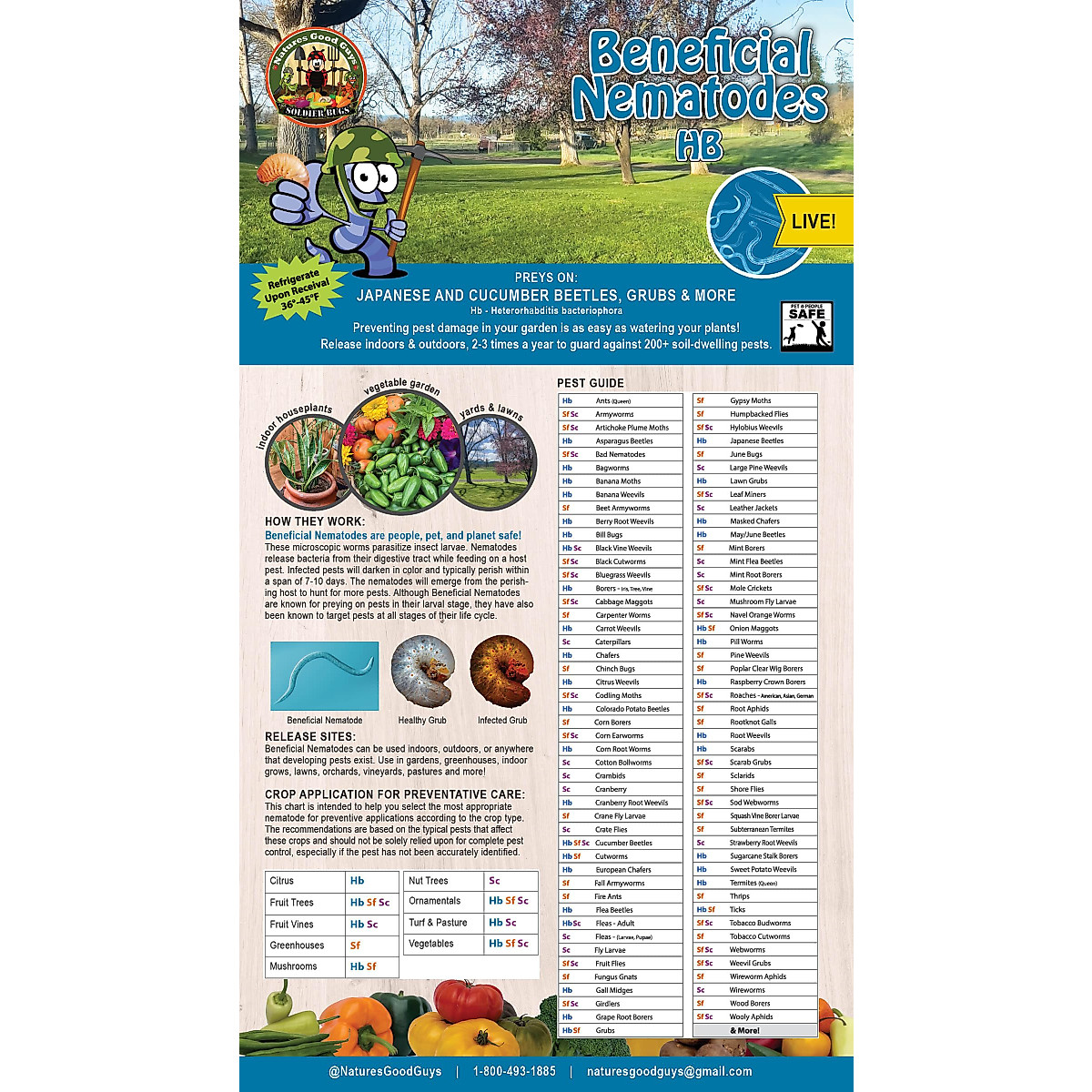 Beneficial Nematodes Heterohabditis bacteriophora HB -Ships from USA (50 Million)