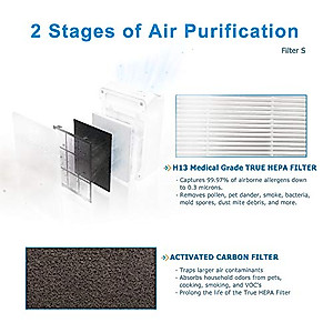 Flintar C545 True HEPA Replacement Filter S, Compatible with Winix C545 Air Purifier, Compares to Winix S Filter 1712-0096-00, 1 H13 Grade True HEPA + 4 Activated Carbon Filters