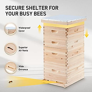 CREWORKS Bee Hive Boxes Starter Kit, Langstroth Beehive for Bee Keeping, 4 Layer Bee House with 20 Medium and 20 Deep Frames & Foundations, Beekeeping Supplies with Plastic Queen Excluder and Nails
