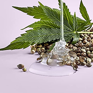 Love Beauty and Planet 100% Biodegradable Shampoo Soothe & Nourish Dry Scalp Hemp Seed Oil & Nana Leaf Sulfate-free, Silicone-free, Cruelty-free, Vegan Shampoo 13.5 oz