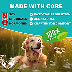 Hemp Calming Chews for Dogs & Puppy-Pet Separation Anxiety Relief Treats & Calm Aggressive Behavior - Melatonin Anti Stress Treatment Help with Thunder, Sleep Aid - Made in USA (Bacon (For Dogs))