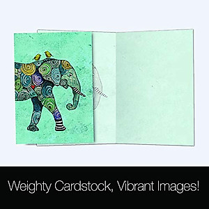 Tree-Free Greetings 8 Pack Greeting Cards, 100% Recycled Paper, Eco-Friendly Cards, Made in the USA, Variety Pack with Matching Envelopes, 5”x7” in Artful Designs, multicolored (AGP1039)