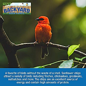 Sunflower Chips Shelled No Waste Bird Seed (20 Pounds)