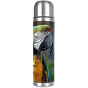 Animal Parrot Vacuum Insulated Water Bottle Stainless Steel Thermos Flask Travel Mug Coffee Cup Double Walled 17 OZ