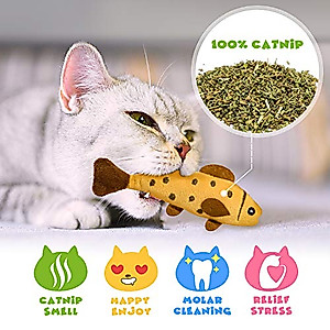 Catnip Toys for Indoor Cats, 12 Pack Crinkle Interactive Cat Toy, Cat Chew Toy for Aggressive Chewers Bite Resistant, Squeaky Catnip Cat Toys Rattle Plush Stuffed Pet Toys, Relieve Stress Kitten Toys
