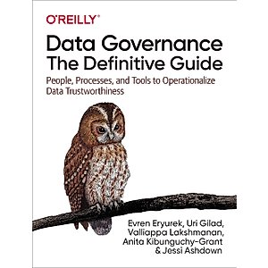 Data Governance: The Definitive Guide: People, Processes, and Tools to Operationalize Data Trustworthiness
