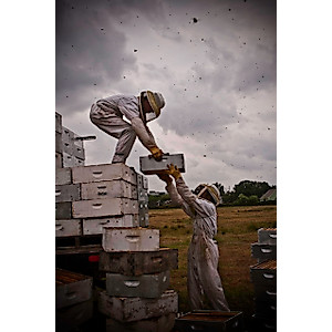 Desert Creek, Raw Bee Pollen, Natural Premium and Pure Superfood, 8 Ounce