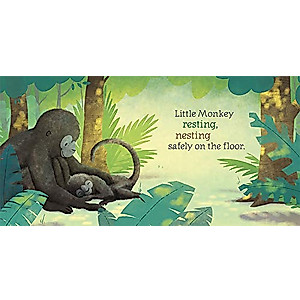 Little Monkey (Little Animal Friends)