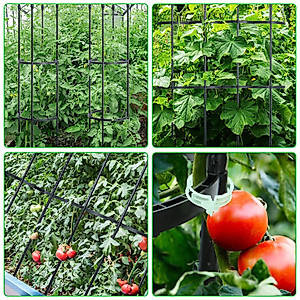 Garden Trellis 4 Pack 60&quot; Tomato CageTall Plant Support Climbing Vines Flowers Stands,Plant Cages &amp; Supports for Vines Crop Vegetable, Flowers,Potted Plants,with 60pcs Plant Clips