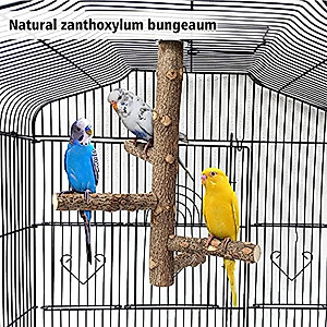 L1HMPET Natural Wood Bird Perch Stand Toy,Parrot Perch Bird Cage Branch Perch Accessories for Parrots, Parakeets Cockatiels, Conures, Macaws, Love Birds, Finches (Bird Perch M: 10" Length)