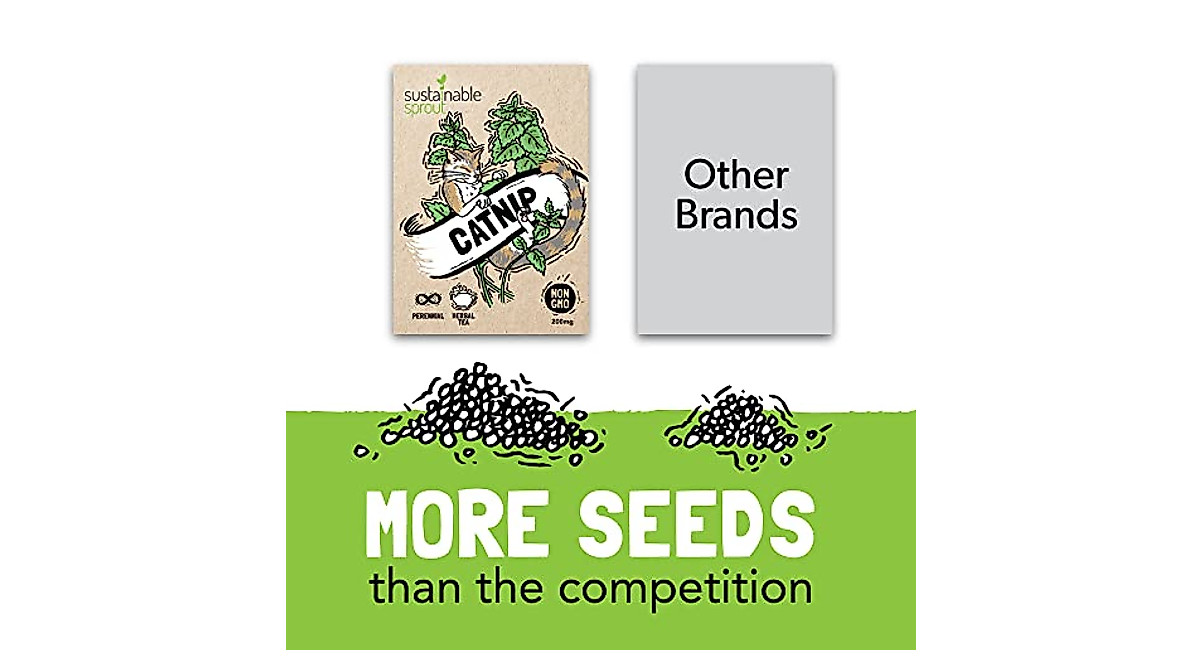 Medicinal Seeds for Planting 8-Pack | Grow Herbal Tea Garden