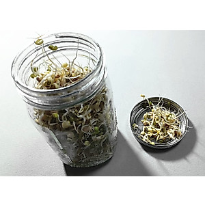 One-Piece 316 Stainless Steel Mesh Sprouting Lids Wide Mouth Mason Jar Strainer Lid for Mason Canning Jars Seed Sprouting Salad Sprouts Strainer Mesh Lids 4 Pack - Rust Proof