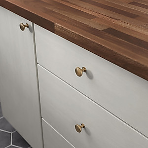 Franklin Brass Mushroom (10-Pack) Cabinet Knobs Champagne Bronze Drawer Knobs Kitchen Cabinet Knobs for Dresser Drawers Pulls and Knobs 1-3/16" Closet Door Gold Knobs P42354Z-CZ-B