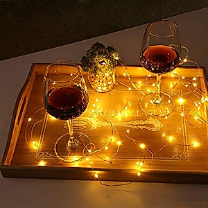 buways Fairy Lights Plug in,Warm White USB 100LED Fairy String Lights，8 Modes 33ft Copper Wire Light with Remote Control for Christmas Parties,Garden and Home Decoration Indoor Outdoor