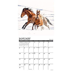 What Horses Teach Us 2021 Wall Calendar