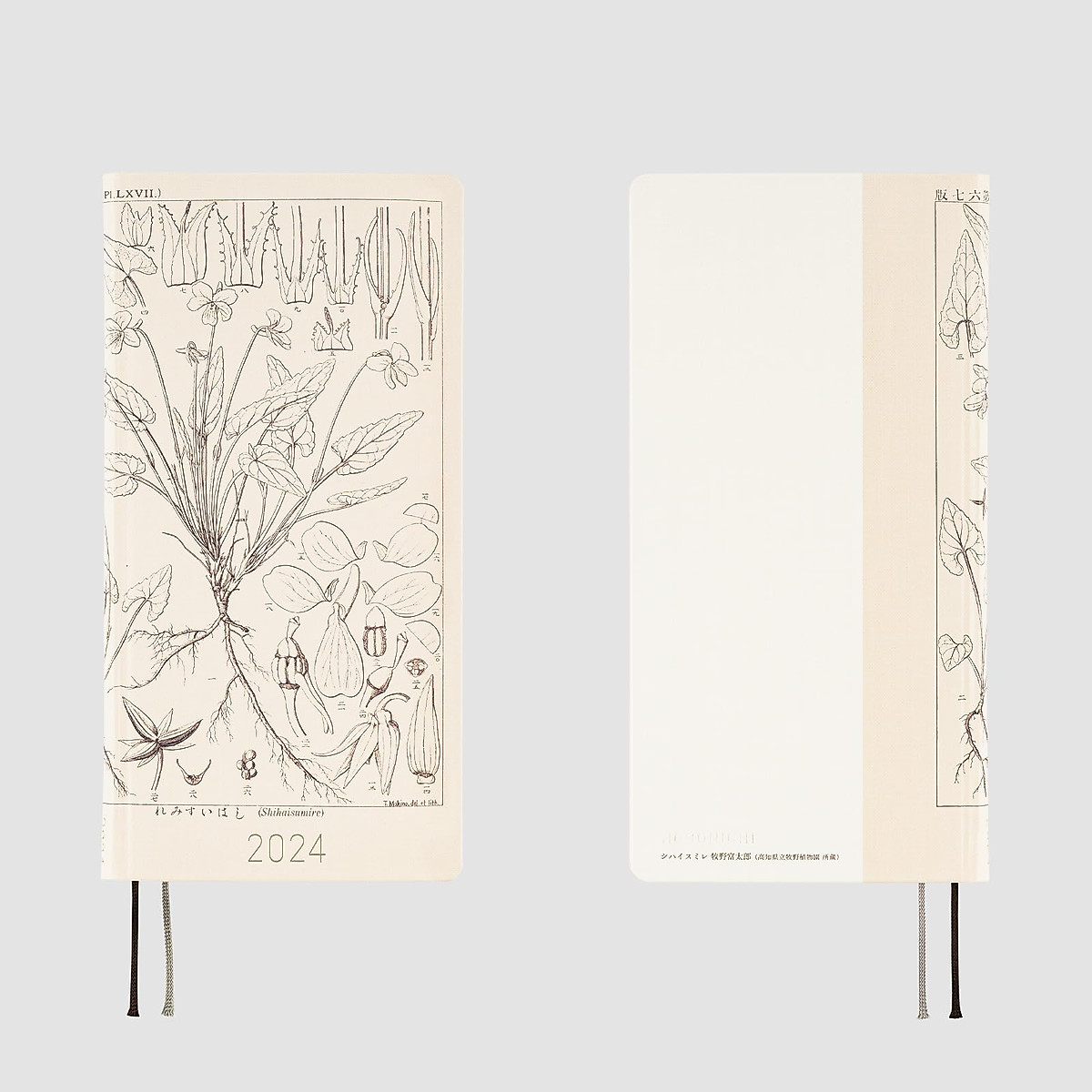 Hobonichi Techo Weeks [English/Tall and Slim Size/January 2024 Start] Tomitaro Makino: Shihai Sumire