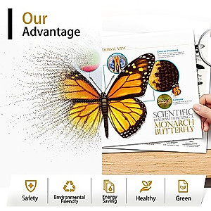 013R00686 Drum Unit, Compatible for Xerox AltaLink B8145 B8155 B8170 Printers, High Yield 80500 Pages (1 Pack)