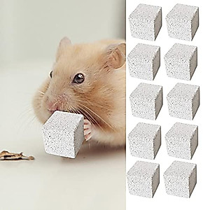 MagiDeal 10Pcs Stone Square Hamster Teeth Grinding Pet Teeth Supplies Chewing Toy, Rodent Stone Pet Chew Toy for Chinchillas, Gerbil, Rat, Pets, 3cm