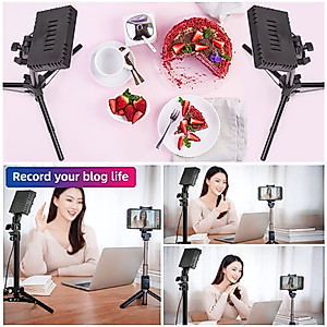 RGB Photography Lighting,USB Powered 2600K-6000K LED Tabletop Light with Stand, for Zoom Calls Video Conference Webcam Meeting Tiktok Game Streaming YouTube Photo Video Studio Shooting （2 Packs