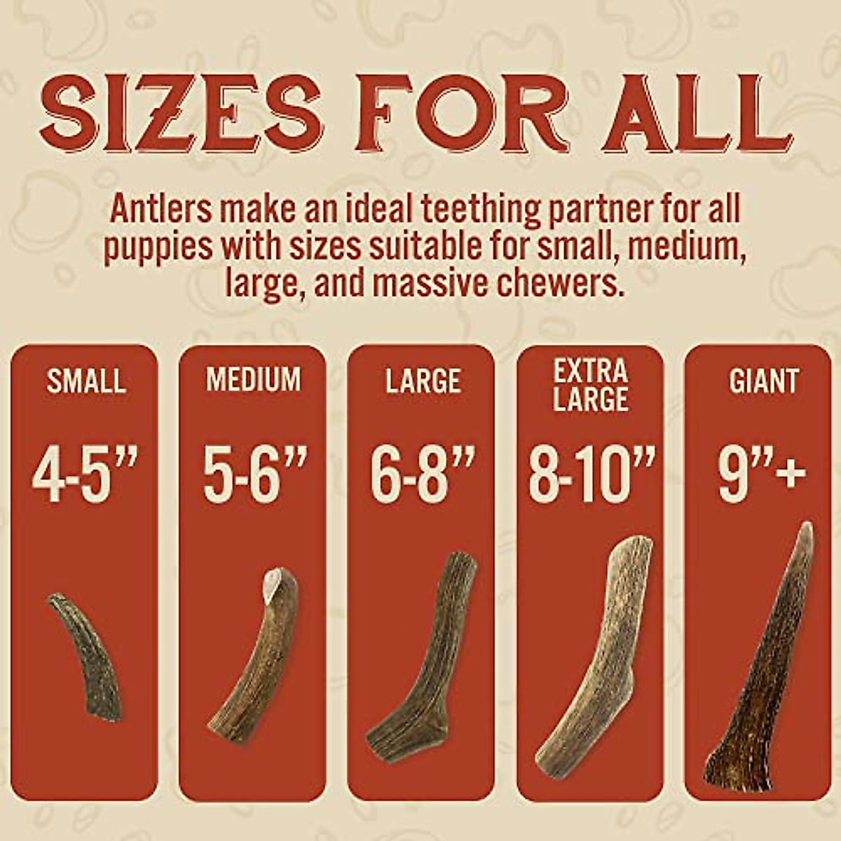 Deer Antlers for Dogs - Grade A, Naturally Shed Antlers | Long Lasting Dog Bones for Aggressive Chewers & Teething Puppies | Chew Toys for All Breeds | USA Made & Veteran Owned (Large: 6-8", 1-Pack)