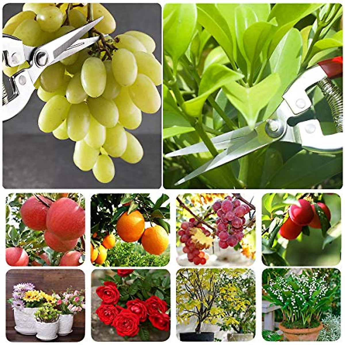 HyleJhJy Pruning Shears with Stainless SK5 Steel Blades+Straight Tip Gardening Shears Garden Shears Garden Clippers Florist Scissors Hand Pruners Garden Tools Gardening Tools Set,Red