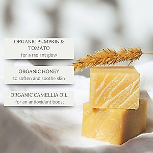 Osmia - Natural Pumpkin Facial Soap Bar | Clean Beauty For Healthy Skin (2.25 oz | 64 g)