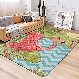 Flamingo Pink Area Rug,Summer Door Mat Flamingo,Tropical Flamingo Carpet for Classroom for Living Room Bedroom Anti-Skid Flamingo Rug Carpet Floor Mat Kitchen Rugs, Flamingo Gifts