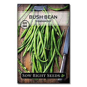 Sow Right Seeds - Bean Mix Seed Collection for Planting - Individual Packets Kentucky Wonder, Henderson Lima and Contender Bush Beans, Non-GMO Heirloom Seeds to Plant an Outdoor Home Vegetable Garden