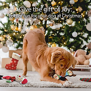 DOGZSTUFF Christmas Dog Toys with Dog Christmas Stocking - 3 Pack Durable Squeaky Xmas Dog Toys for Small Medium and Large Dogs Plus Reusable Holiday Stocking