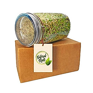 Variety Pack Sprouting Seeds Broccoli, Alfalfa, Radish, Mung beans & Salad Mix for Sprouts and Microgreens. Non-GMO. Pack of 10 premeasured seeds for quart size jars or trays. Includes 2 packs of each