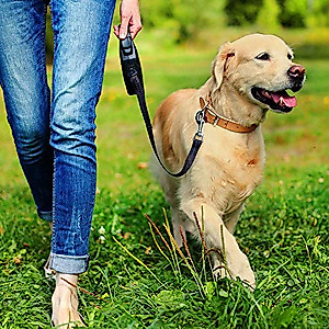 Simple Solution Pee Post Outdoor Potty Training Aid | Pheromone-Infused Yard Stake with GO HERE™ Technology | 13 Inch Stake