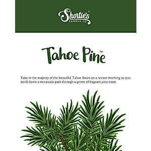 Tahoe Pine Soy Votive Candles - Scented with Essential & Natural Oils - 6 Green Natural Votive Candle Refills - Fresh & Clean Collection