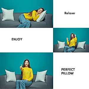 Premium 23x23 Inch Decorative Throw Pillow Inserts - (Pack of 2 White) | Goose Feathers & Duck Down Fill | 100% Cotton Cover | Plush and Breathable | 233 Threads Count