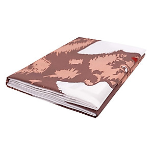 DANF FLAG New California Republic Flag Banner 3ftx5ft Polyester with Brass Grommets