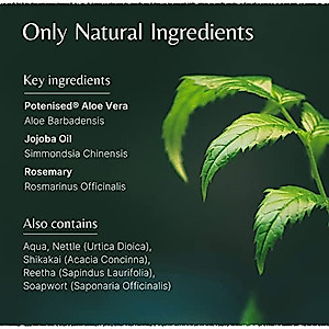 Mistry's Aloe Vera Jojoba Conditioner 200ml - Natural Hair Care, Gentle, Strengthening & Nourishing - Suitable for All Ages and Hair Types, Additive Free, Vegan,